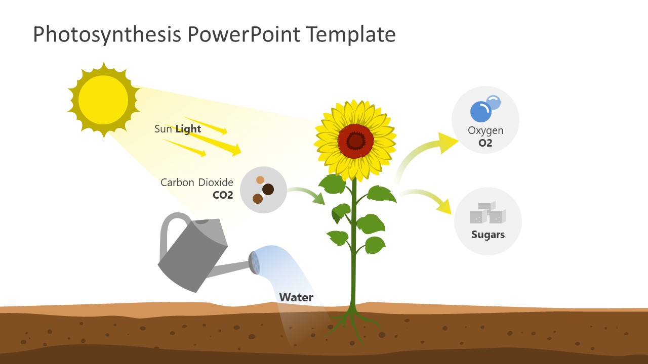 Photosynthesis PowerPoint Template - SlideModel