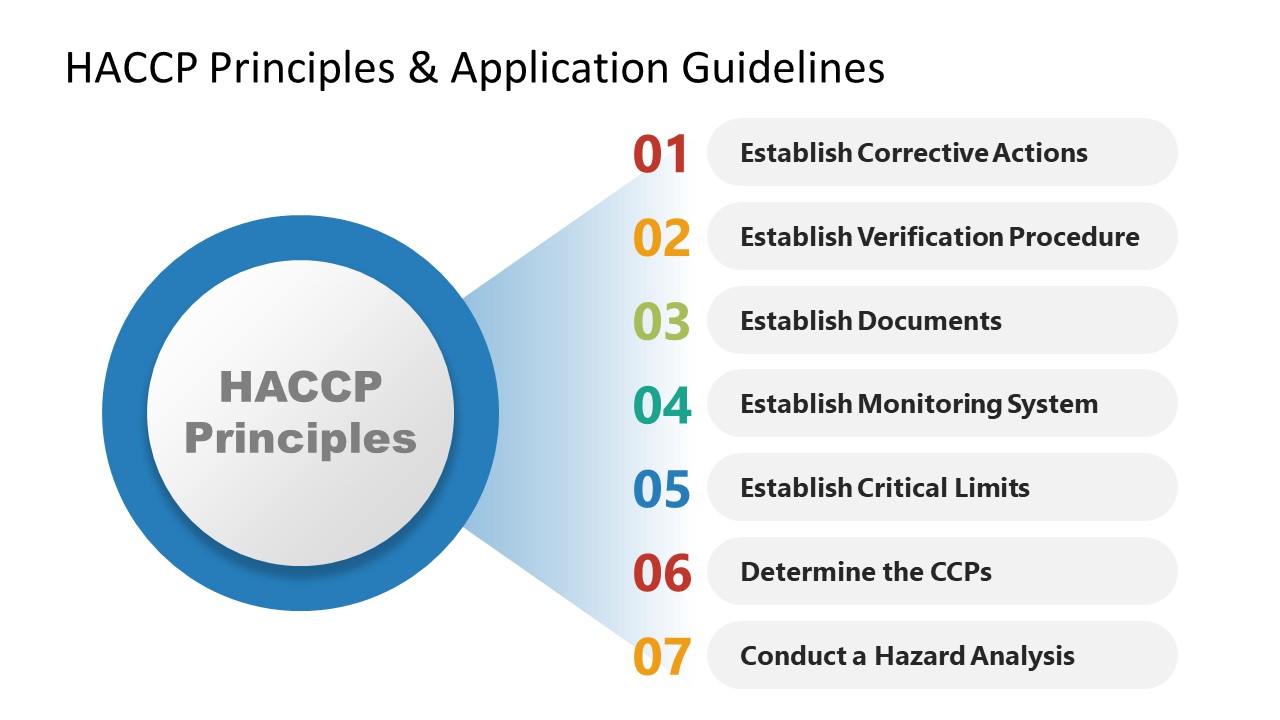 HACCP Principles & Application PowerPoint Template HACCP Principles & Application PowerPoint Template