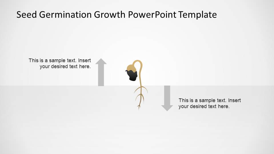 Seed Germination Growth PowerPoint Template - SlideModel