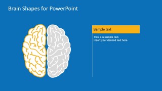 Brain Shapes for PowerPoint