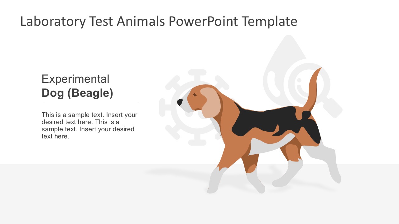 Laboratory Test Animals PowerPoint Template - SlideModel