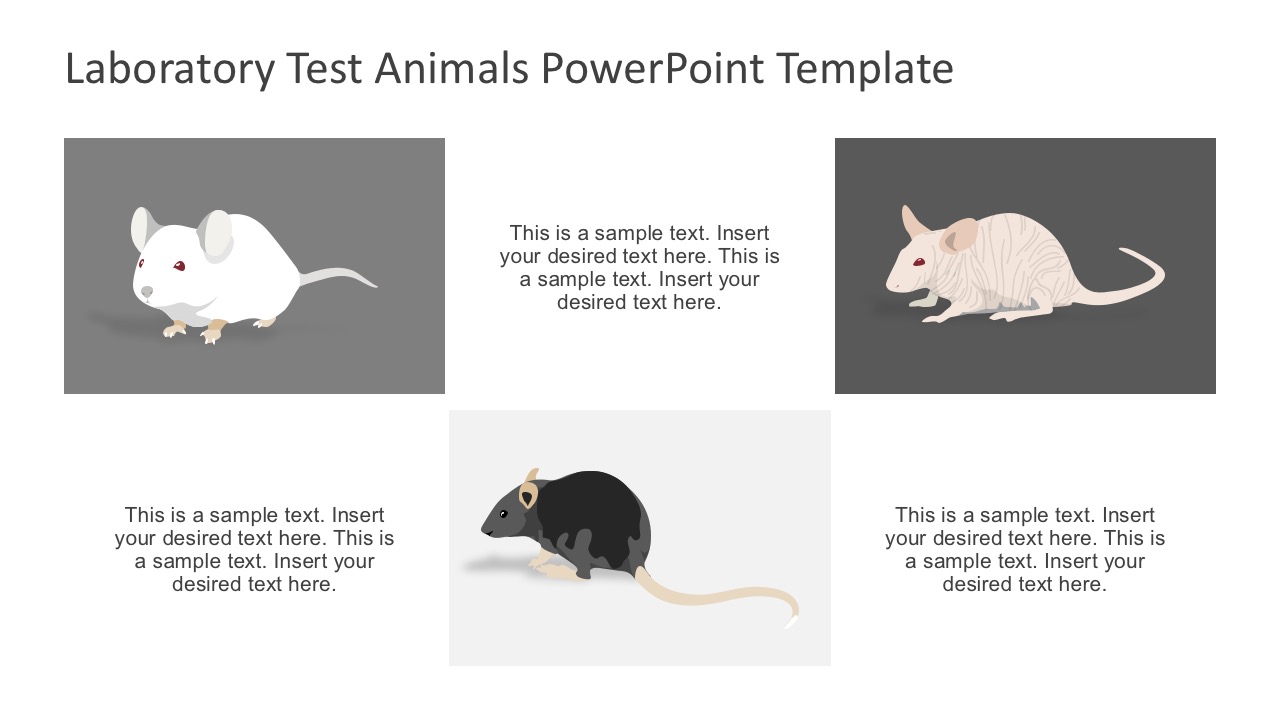 Laboratory Test Animals PowerPoint Template - SlideModel