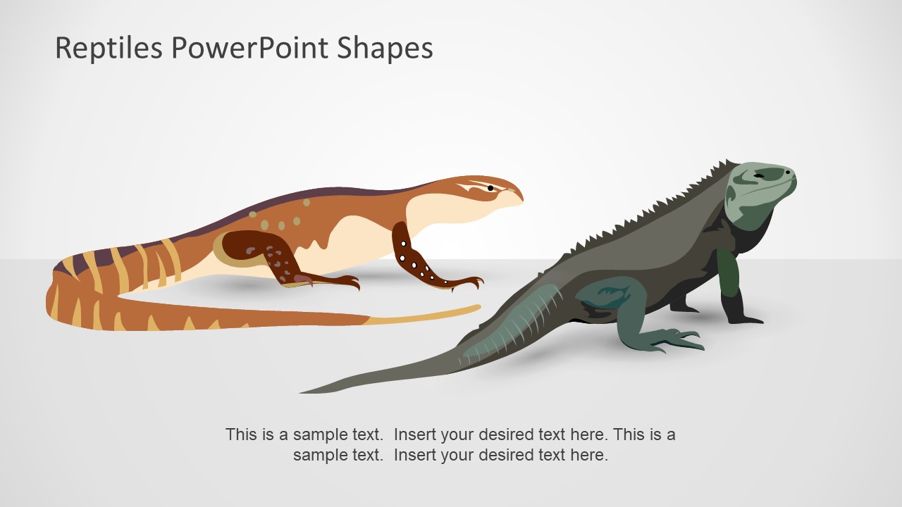 WordPress Mockup Editable PowerPoint - SlideModel